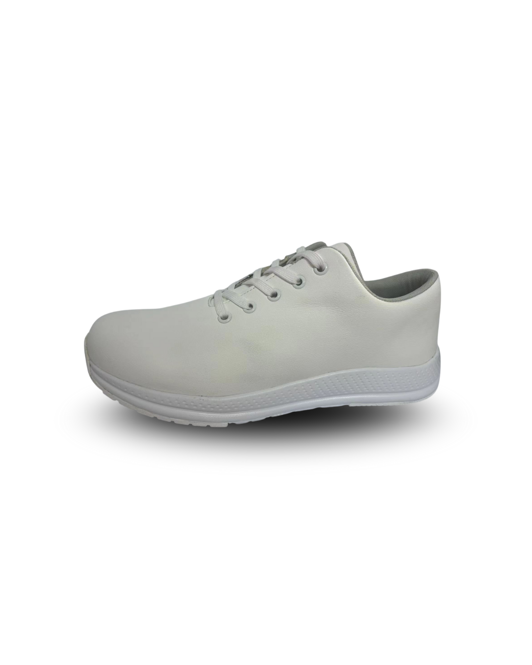 Siili Company - All Products